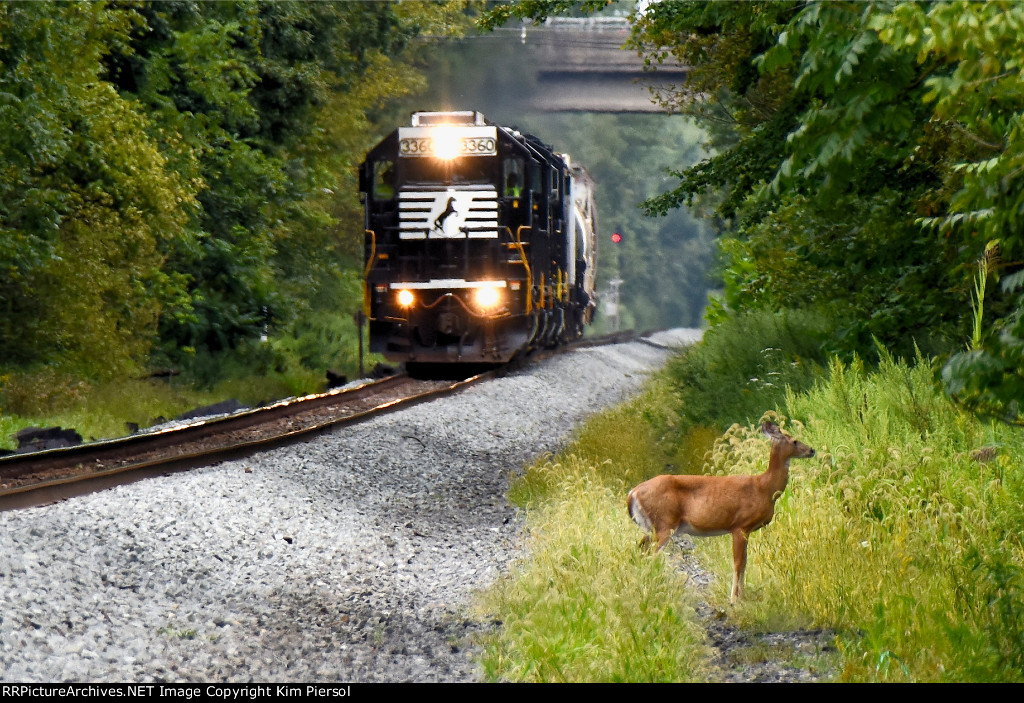 NS 3360 H76 with Deer